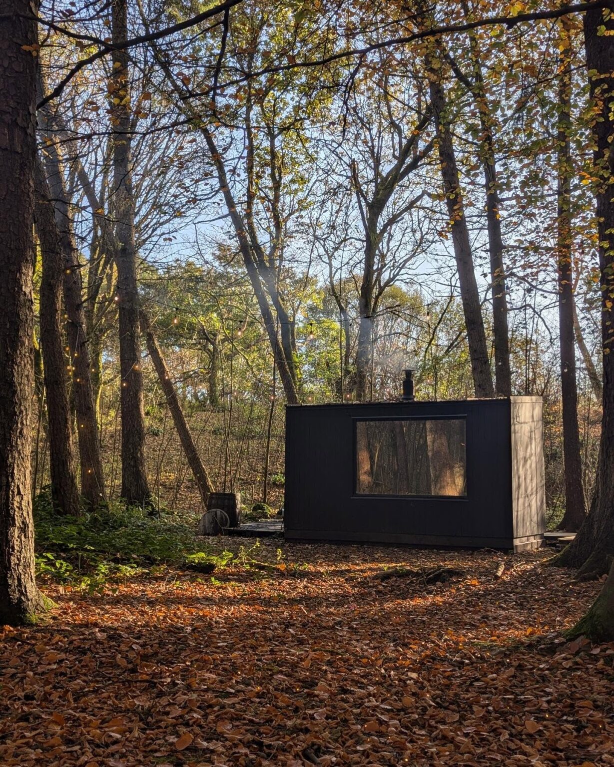 Forest Sauna - Rabbit Run Wales